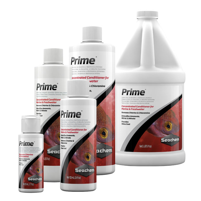 Seachem Prime | Hollywood Fish Farm Online