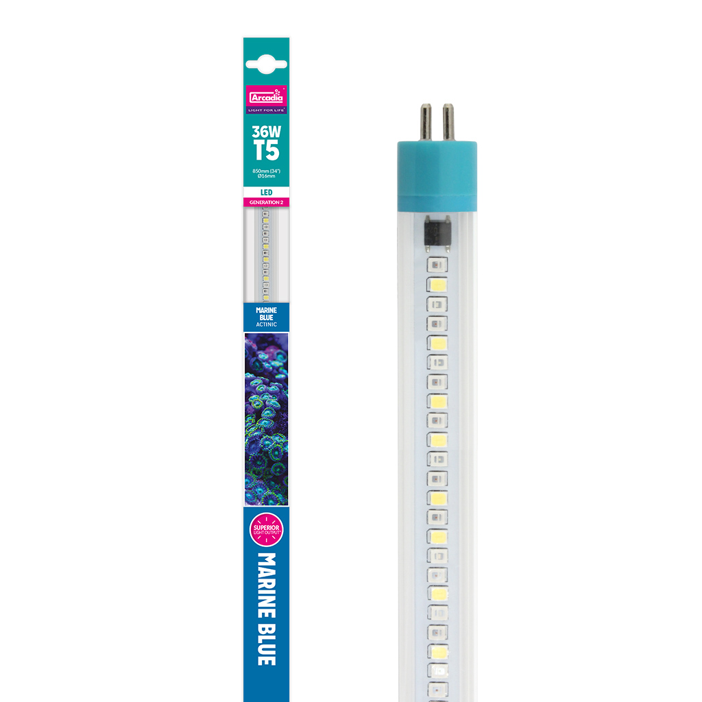 Arcadia Marine Blue LED T5 Tube For Juwel Aquariums | Hollywood Fish ...